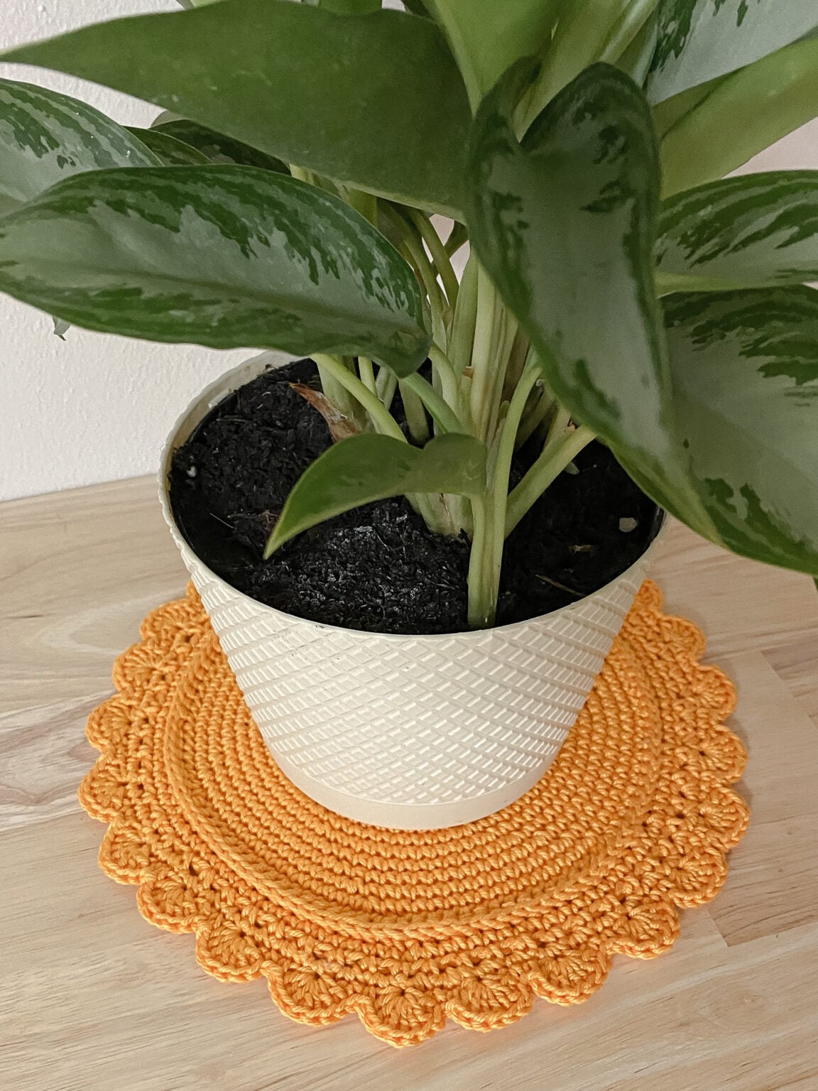 Free Crochet Coaster Pattern for Plants - Life + Yarn